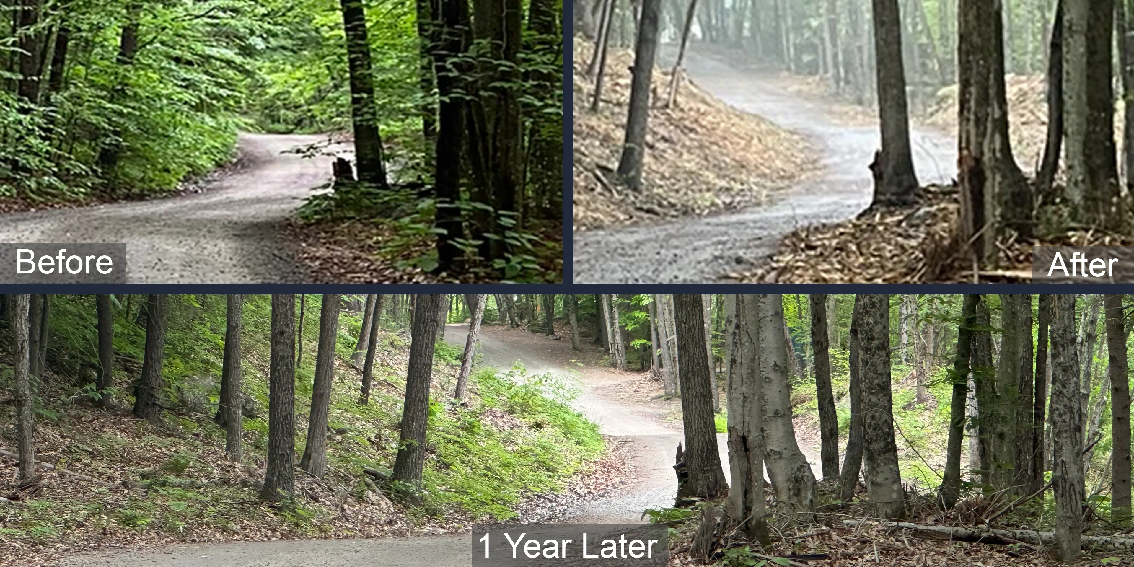 Brushing | Township of Lake of Bays